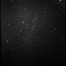 What are the coolest types of stars?
