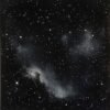 What are the coolest types of stars?
